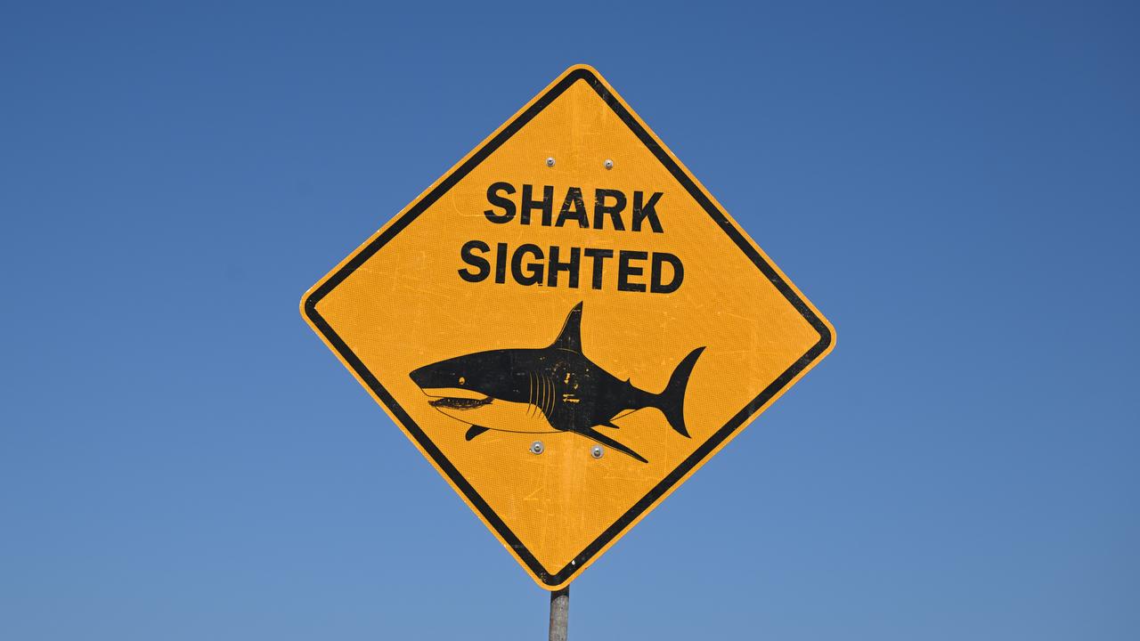 Heroic teenagers save mate's life after shark attack