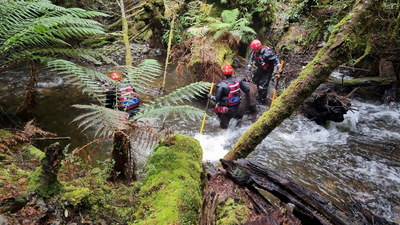 Human remains found during search for missing tourist