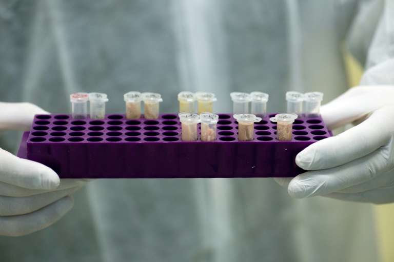 First US murder trial using DNA, family tree evidence